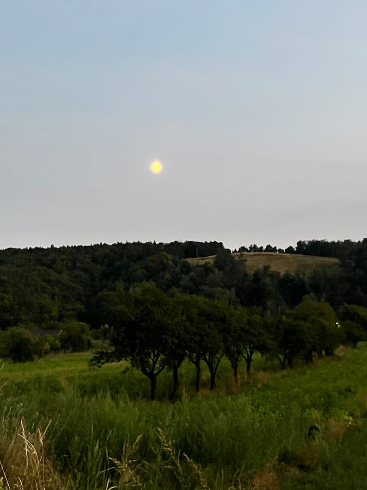 Cozy, Country House - Bacău