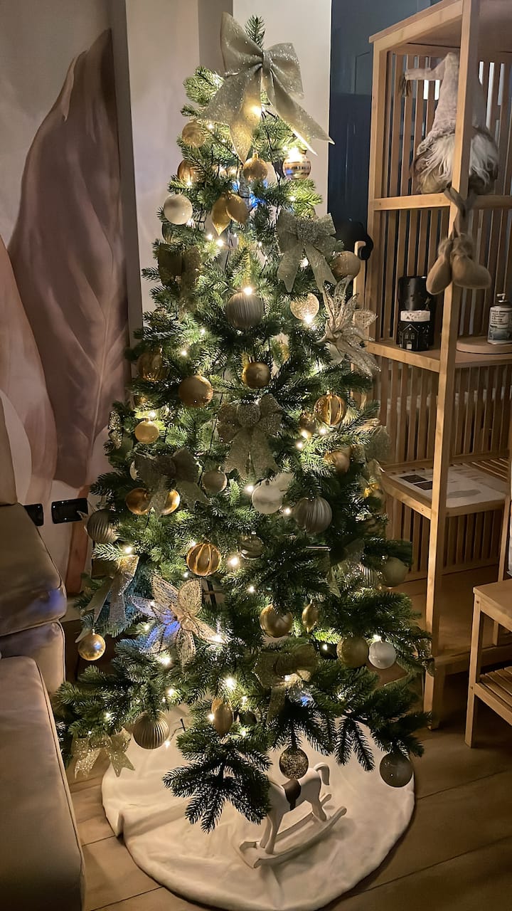 Il Tuo Nido A Desenzano, Visita A Piedi La Citta' - Desenzano del Garda