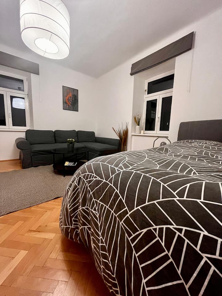 Big Room In Salzburg Center - Salzburg