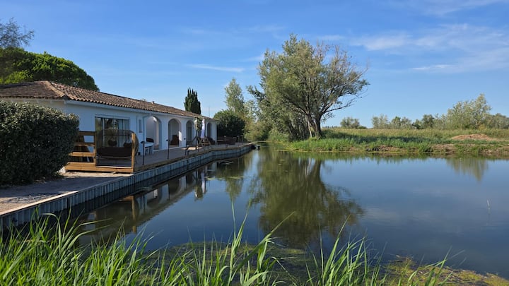 Domaine Luxueux Avec Terrain De Padel Et Piscine - Saintes-Maries-de-la-Mer