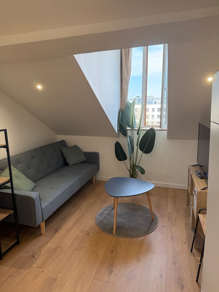 Studio Moderne -Rives De Meurthe - Nancy