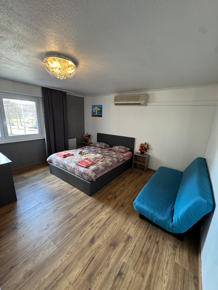 Chambre Dans Un Appartement Numéro1 - Strasbourg