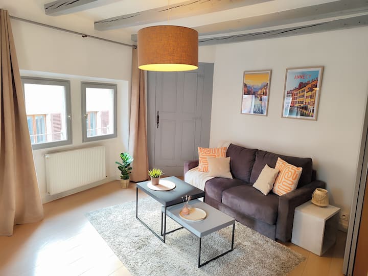 "La Suite Du Faubourg" Un Séjour Unique à Annecy - Seynod