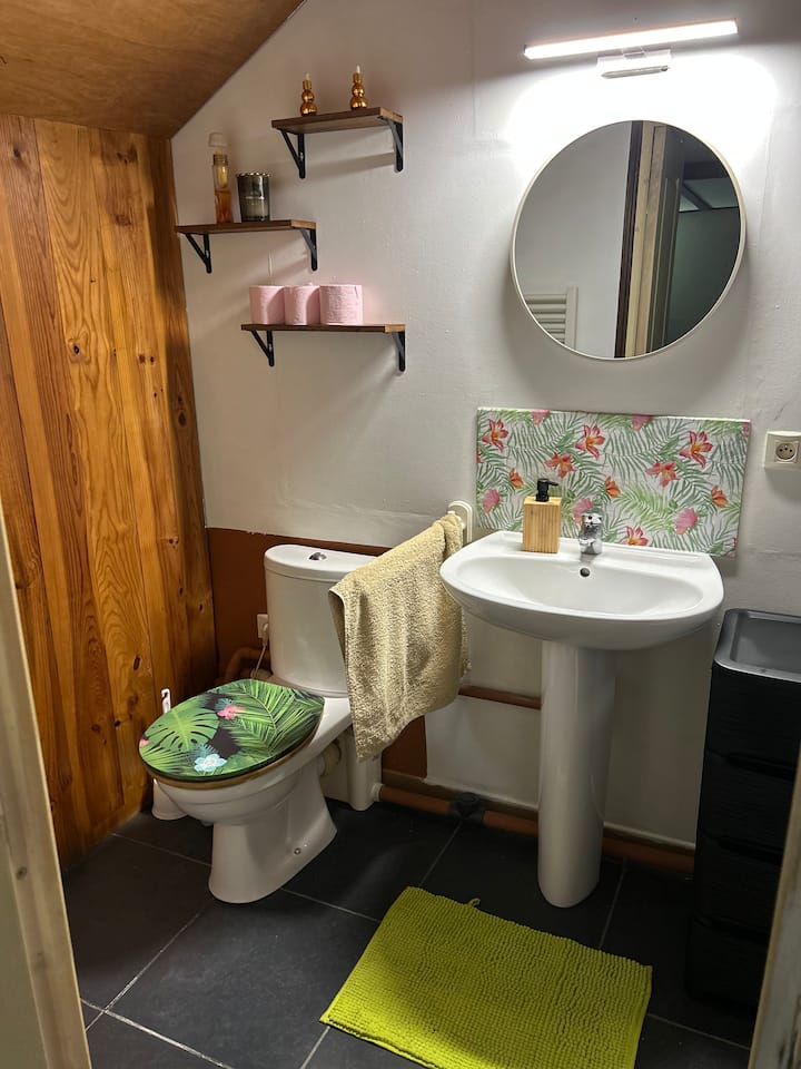 Chambre D’hôte Avec Salle D’eau. - Arles