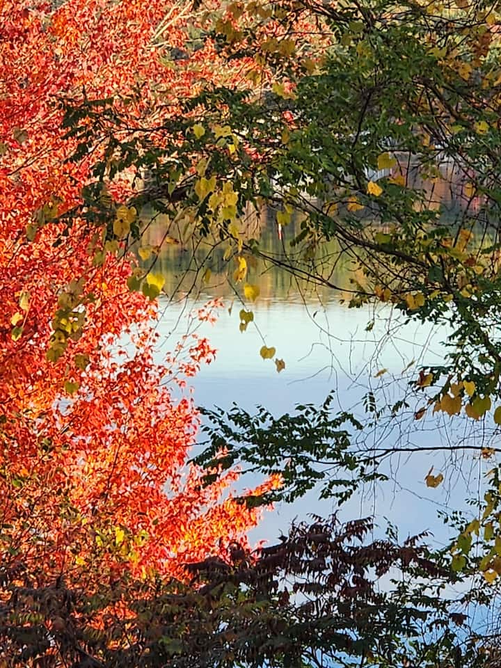 Deja View At Winnisquam - Laconia, NH