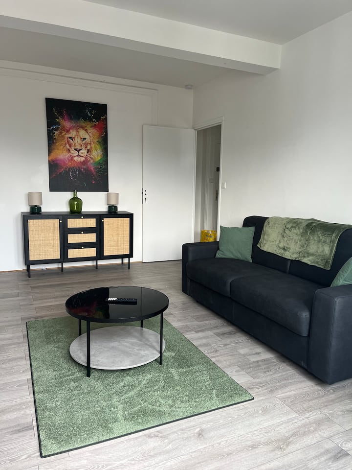 Appartement Vert By Prestihost - Valenciennes