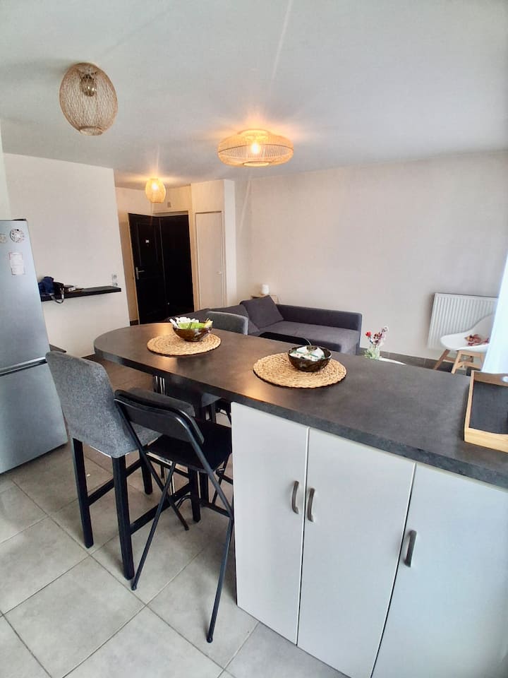 2 Chambres, Climatisation, Grand Garage Sécurisé ! - Lyon