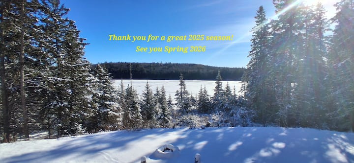 Camping Cabin - 10 Min. To Amenities - Hampton