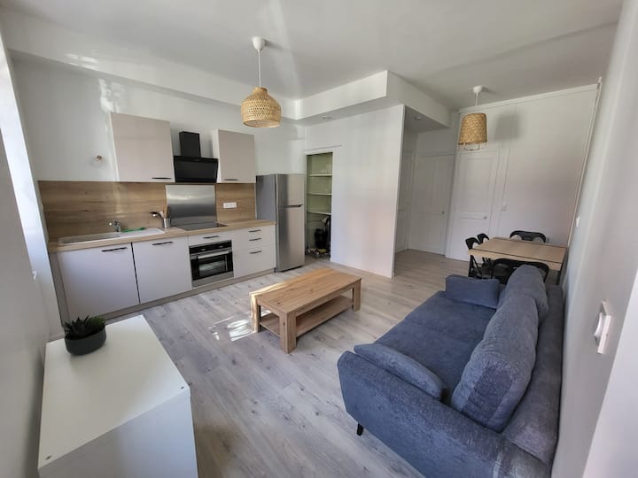 Joli Appartement - Grenoble