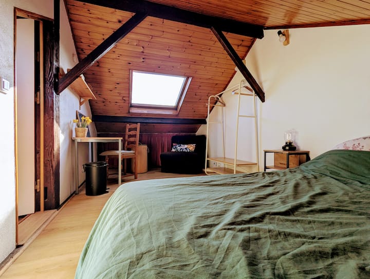Duplex En Collocation à Clamart - Châtillon