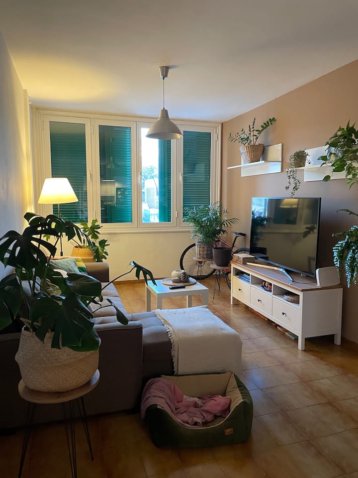 Habitación En Playa Las Vistas - Playa de las Américas