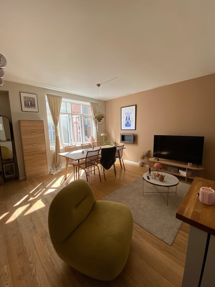 Central And Stylish Apartment - Oslo