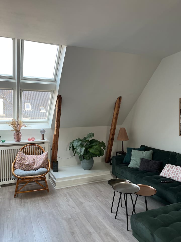 Charming Top Floor Flat - Copenhague