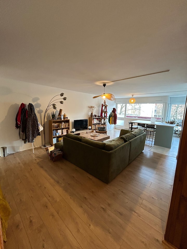 Beau Souplex à Annecy ! - Menthon-Saint-Bernard