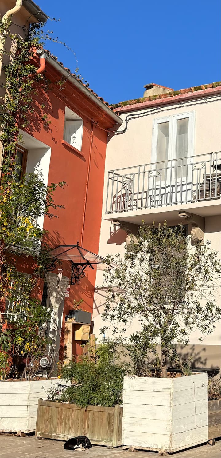 Maison Atypique - Laroque-des-Albères