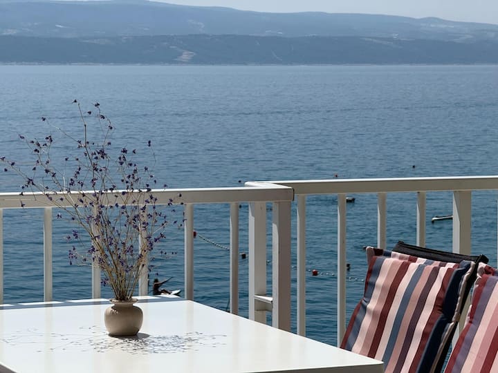 Apartman Maya - Mimice