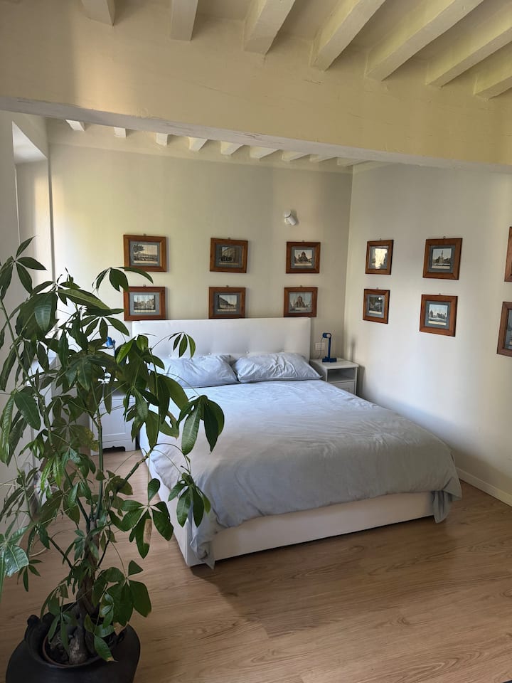 Beautiful Center Apartments Double Flat Floor 1&2 - Parma