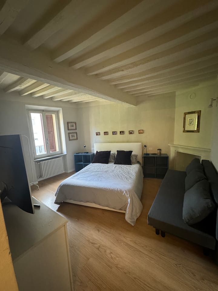 Beautiful Center Apartments Double Flat Floor 1&2 - Parma