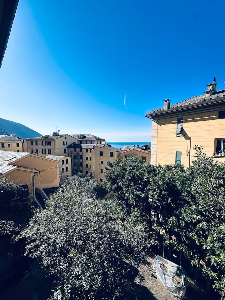 Al Mare A Piedi - Citra Lt-0825 - Camogli