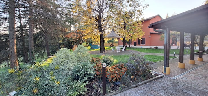 Corina's Place - Bologna