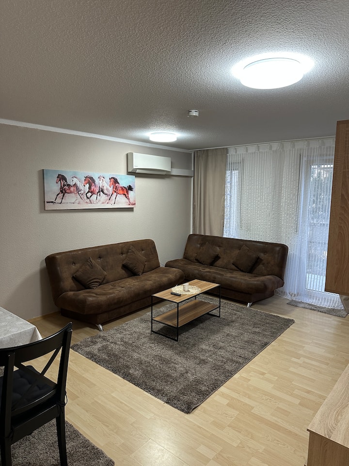 Zentral Stilvolle Wohnung - Heidelberg