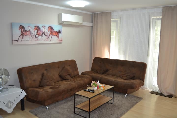 Zentral Stilvolle Zwei Zimmer Wohnung - Heidelberg