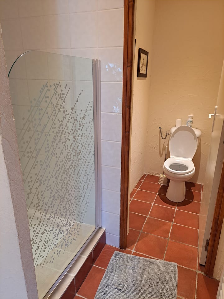 Chambre D'hôtes - Vic-Fezensac