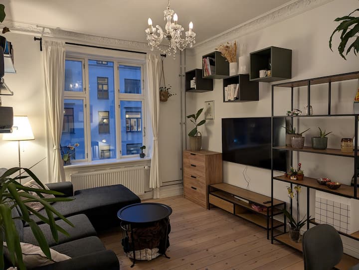 Homey Apartment With Gorgeous Rooftop - Copenhague