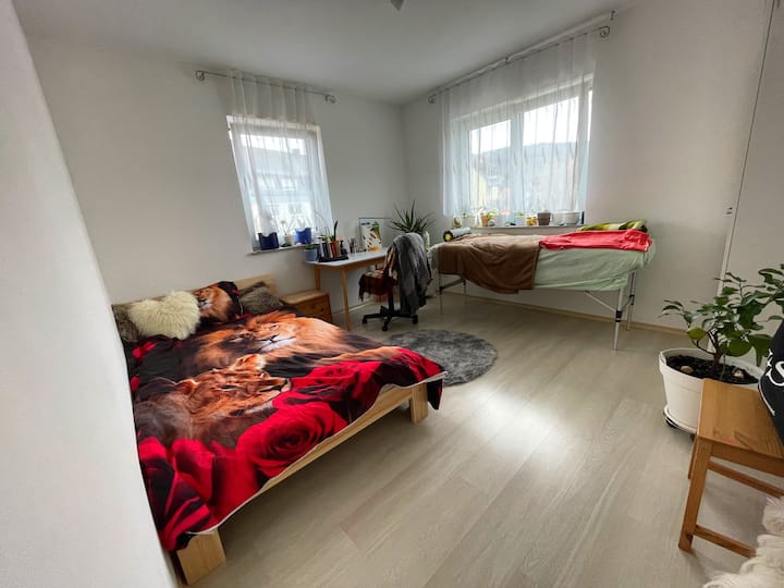 Helles Zimmer An Der Mosel - Trier