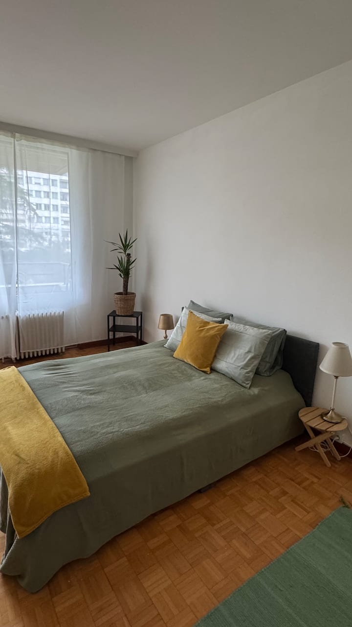 Comfortable Place Near Un - Geneva