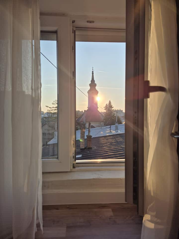 Dragonfly Nest - Belgrado