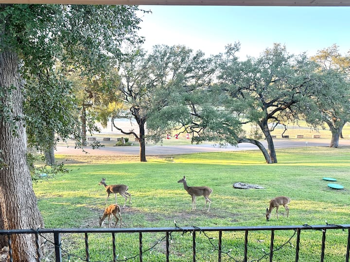 Salado Peace - Salado, TX