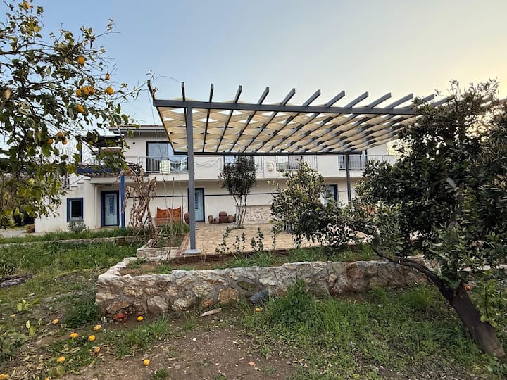 Portakal Bahçesinde 6 Odalı Ev - Gökova