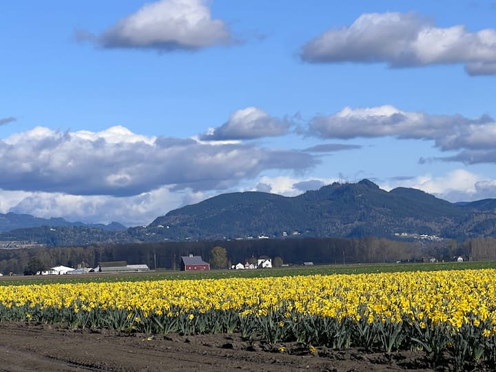 Modern Farmhouse Stay At Sunrise Fields - Bay View, WA