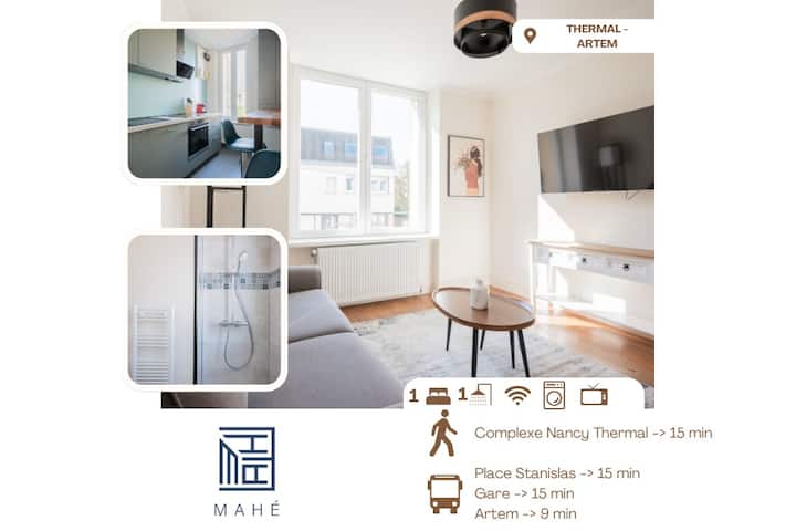 Quartier Thermal - Logement Rénové 1 - Nancy