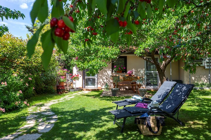 Serenity Garden Cottage - Vodnjan