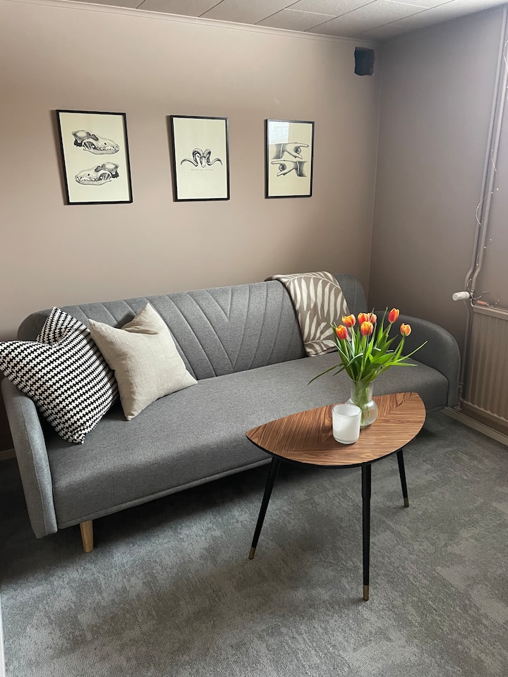 Nyrenoverad Lägenhet I Hus Med Parkering - Visby