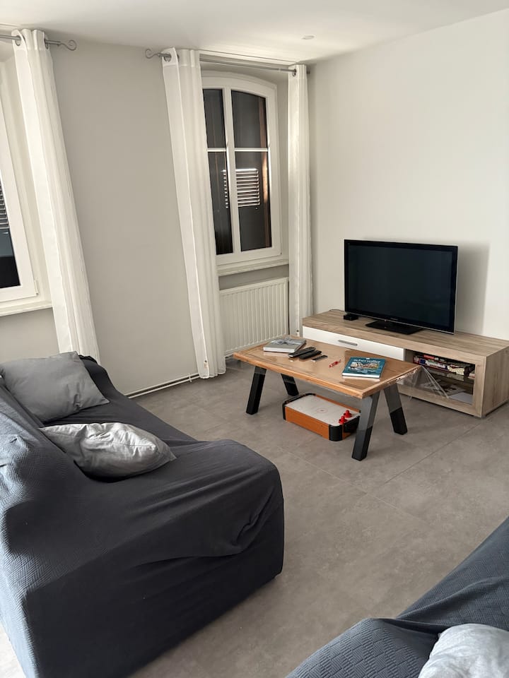 Gîte Dans Une Maison Alsacienne - Sélestat