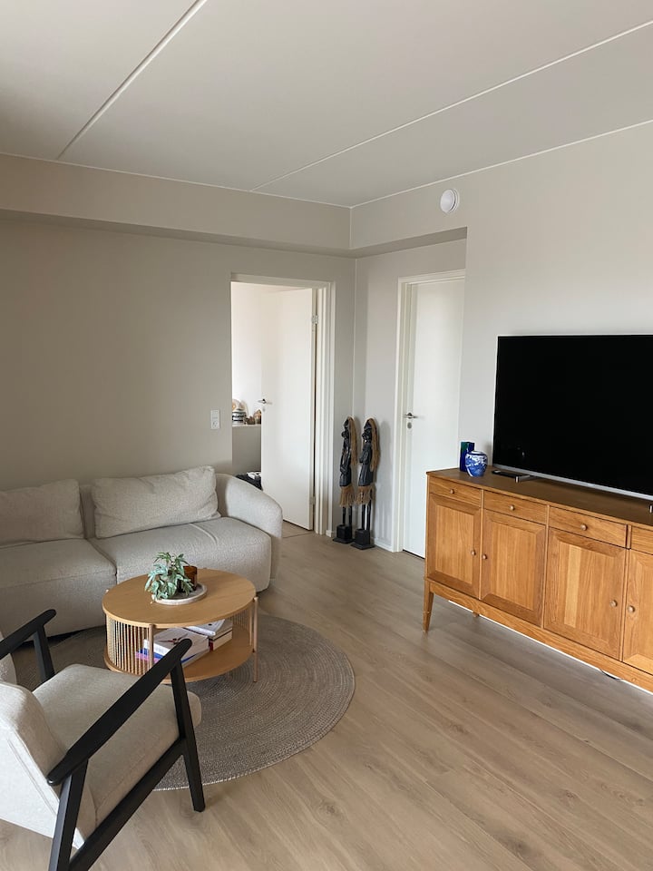 Stor Lejlighed I Centrum - Århus