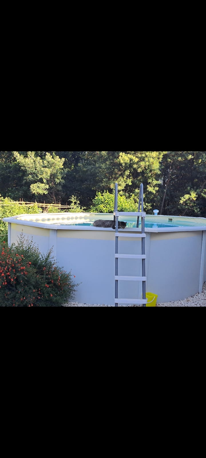 Maison-villa André - Sainte-Lucie de Porto-Vecchio