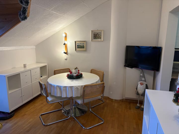 Apartma Snežko - Kranjska Gora