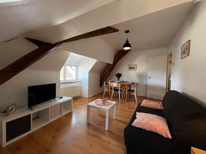 Appartement «&nbsp;Rose&nbsp;»2 Pers- Face Au Donjon 3* - La Roche-Posay