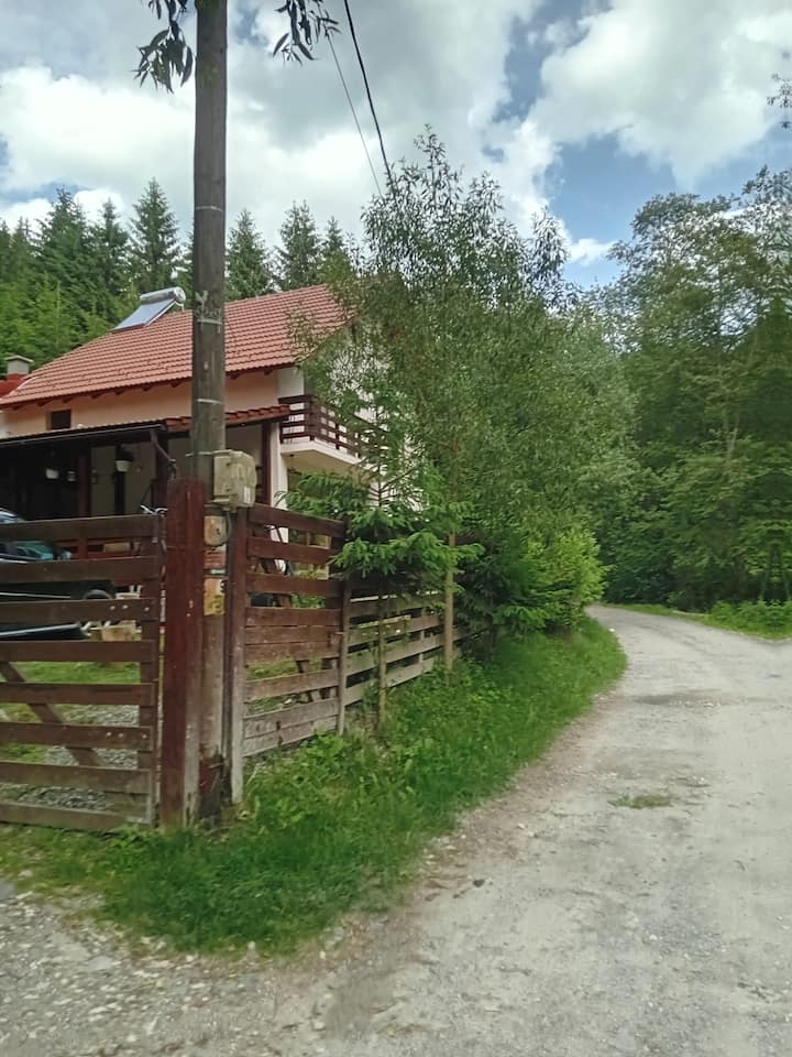 Cabana Maia - Paradis In Natura - Dâmbovicioara