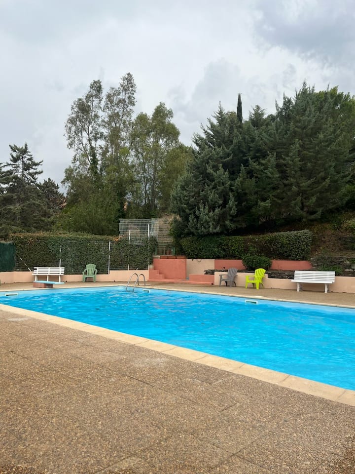Appartement Rez-de-jardin Avec Piscine Collective - Collioure