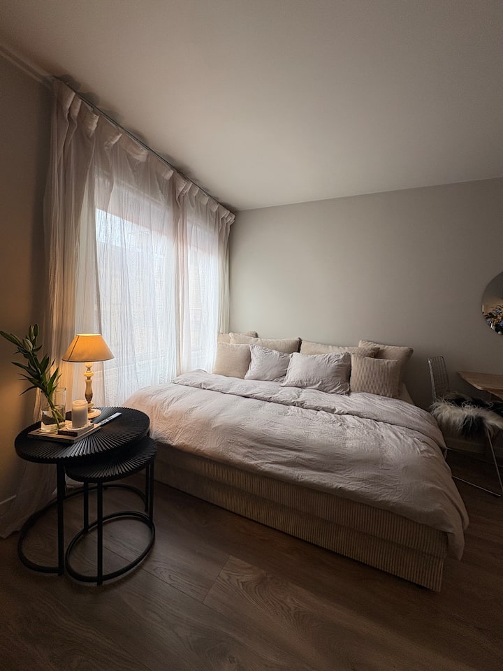 Studioleilighet På Bislett - Oslo