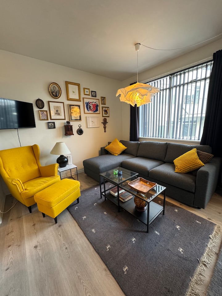 Downtown Stylish Apartment - Rvk - Islande