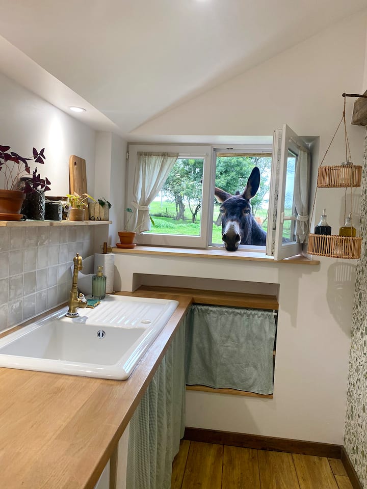 Gîte à La Ferme – Animaux & Séjour Ressourçant - France