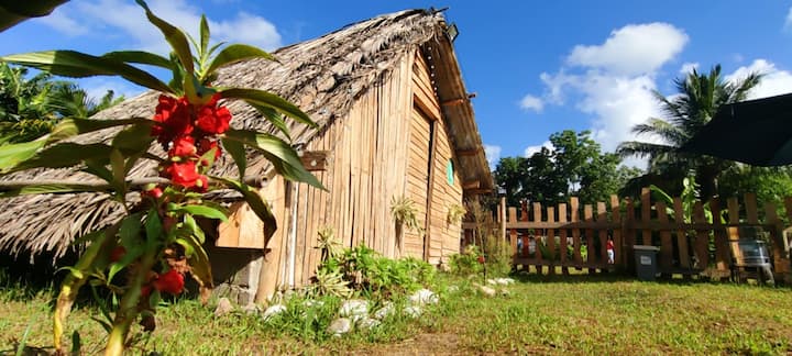 The Cabin In The Wood - Liliw