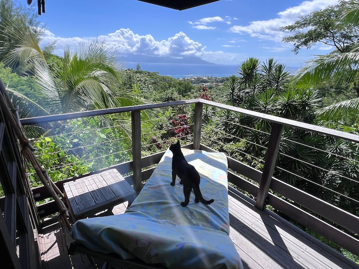 Chalet Nature Amoureux Des Chats - Tahiti