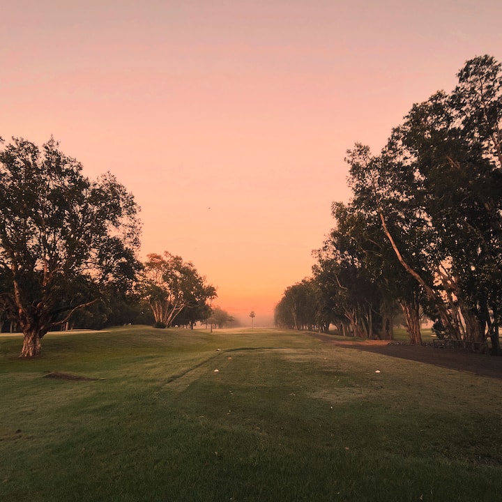 Tala & Sea - Forster